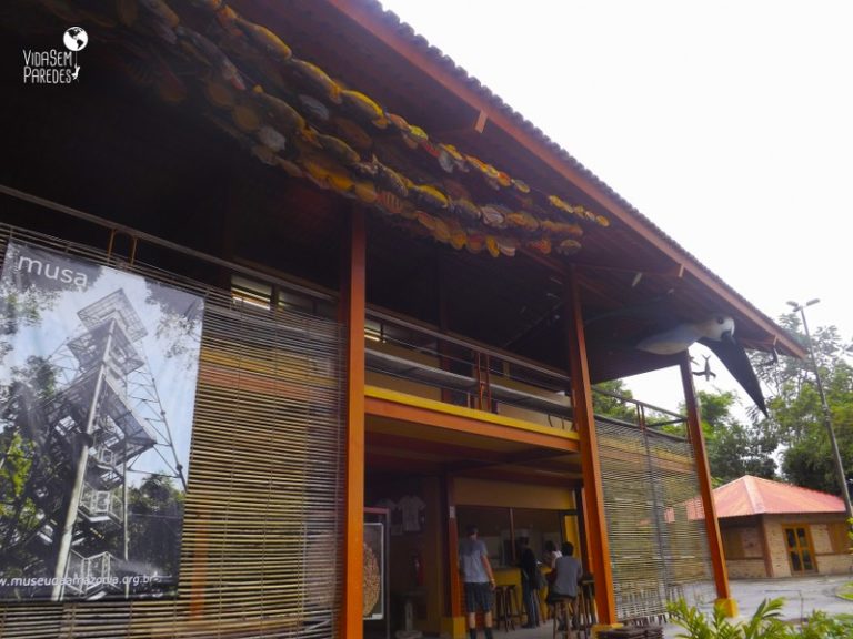 6 coisas imperdíveis para ver no Museu da Amazônia em Manaus