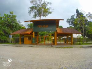 6 coisas imperdíveis para ver no Museu da Amazônia em Manaus