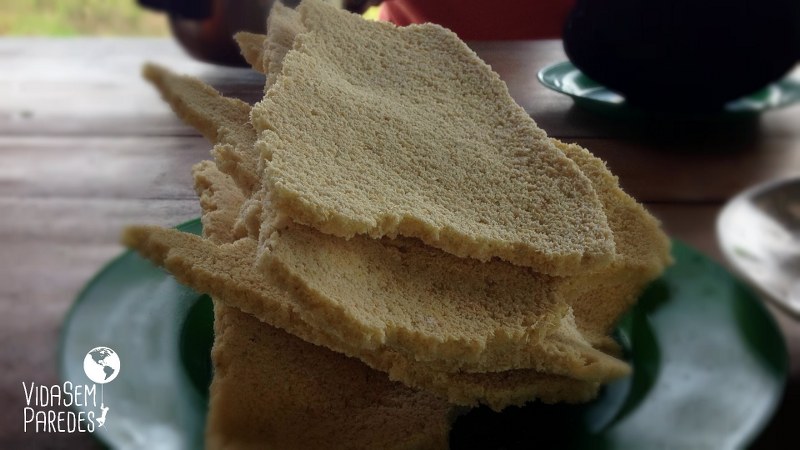 Comidas exóticas: comendo cupim com indígenas da Venezuela