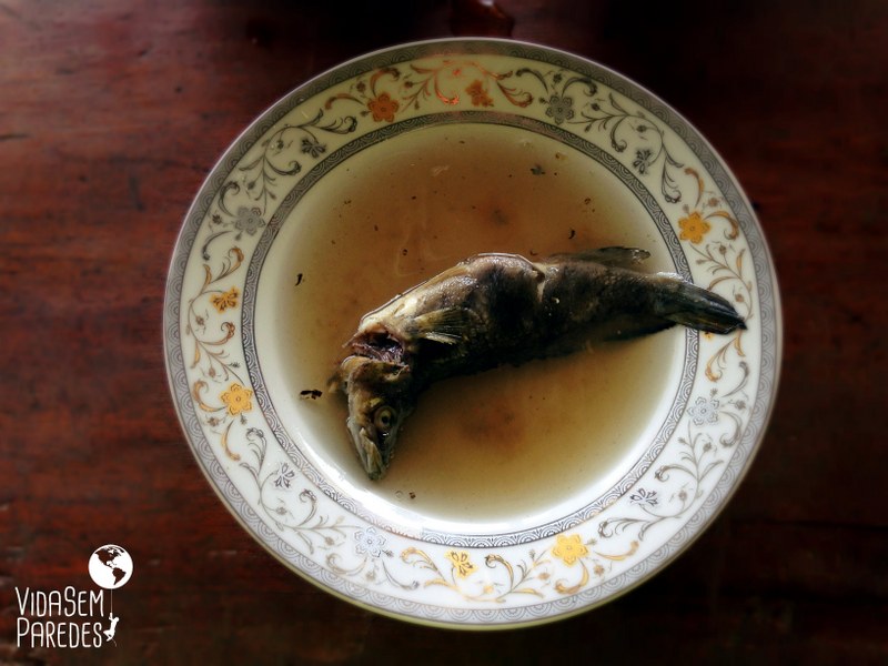 Comidas exóticas: comendo cupim com indígenas da Venezuela