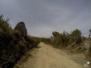 Morro do Couto: uma trilha leve com visuais lindos no PNI
