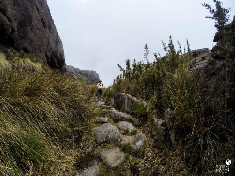 Morro do Couto: uma trilha leve com visuais lindos no PNI