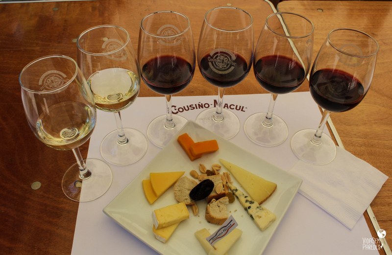 Como é o tour pela vinícola Cousiño Macul, Chile| vida sem paredes