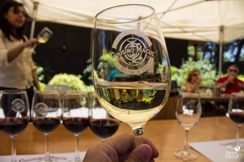 Como é o tour pela vinícola Cousiño Macul, Chile| vida sem paredes