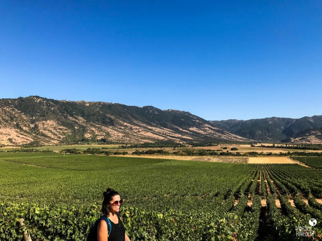 Vale do Colchagua, Chile: como ir, pousadas, melhores vinícolas e dicas