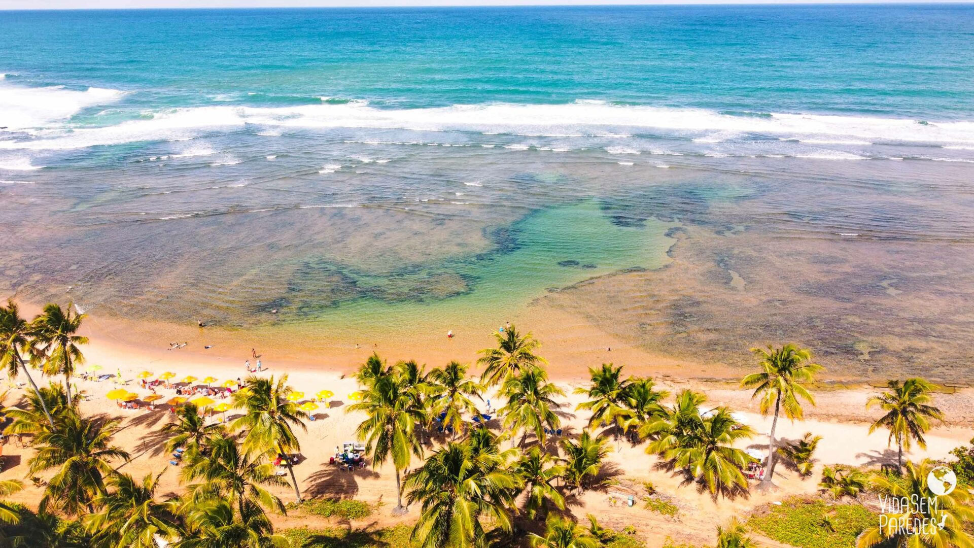 Praia do Forte, Bahia: o que fazer, praias e 10 dicas essenciais