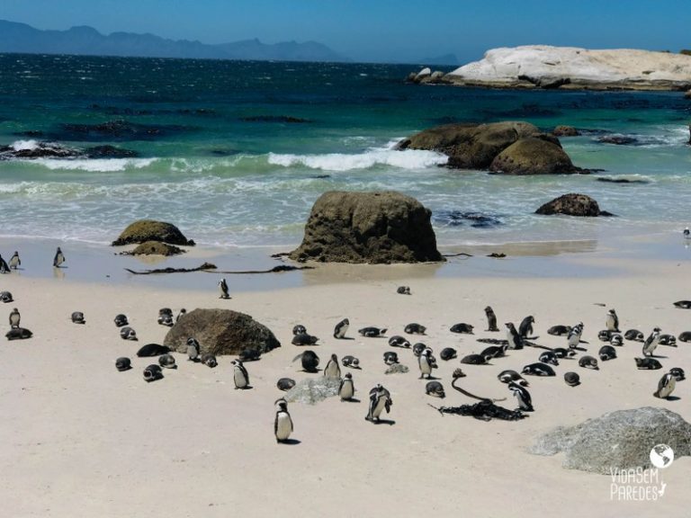 Cidade do Cabo, África do Sul: o que fazer, roteiro e TOP12 dicas