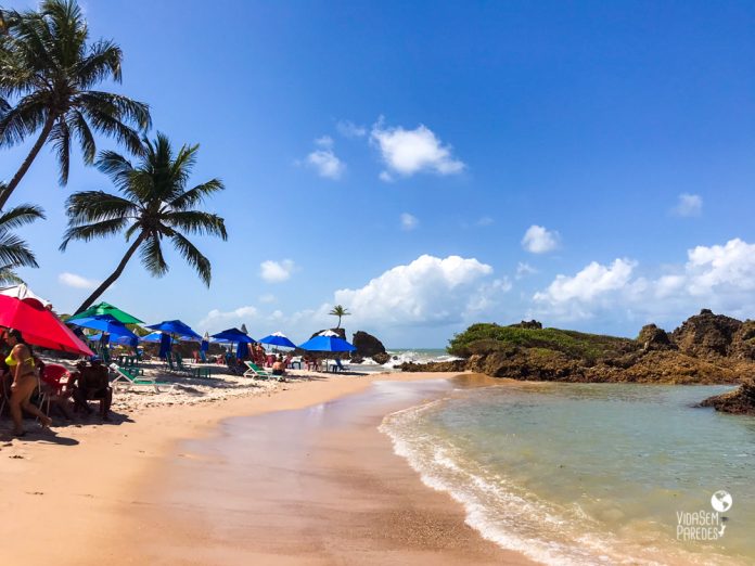 Praia de Tambaba, Paraíba: como ir, fotos e o que fazer