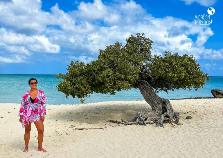 Aruba, Caribe: as praias imperdíveis [+dicas]