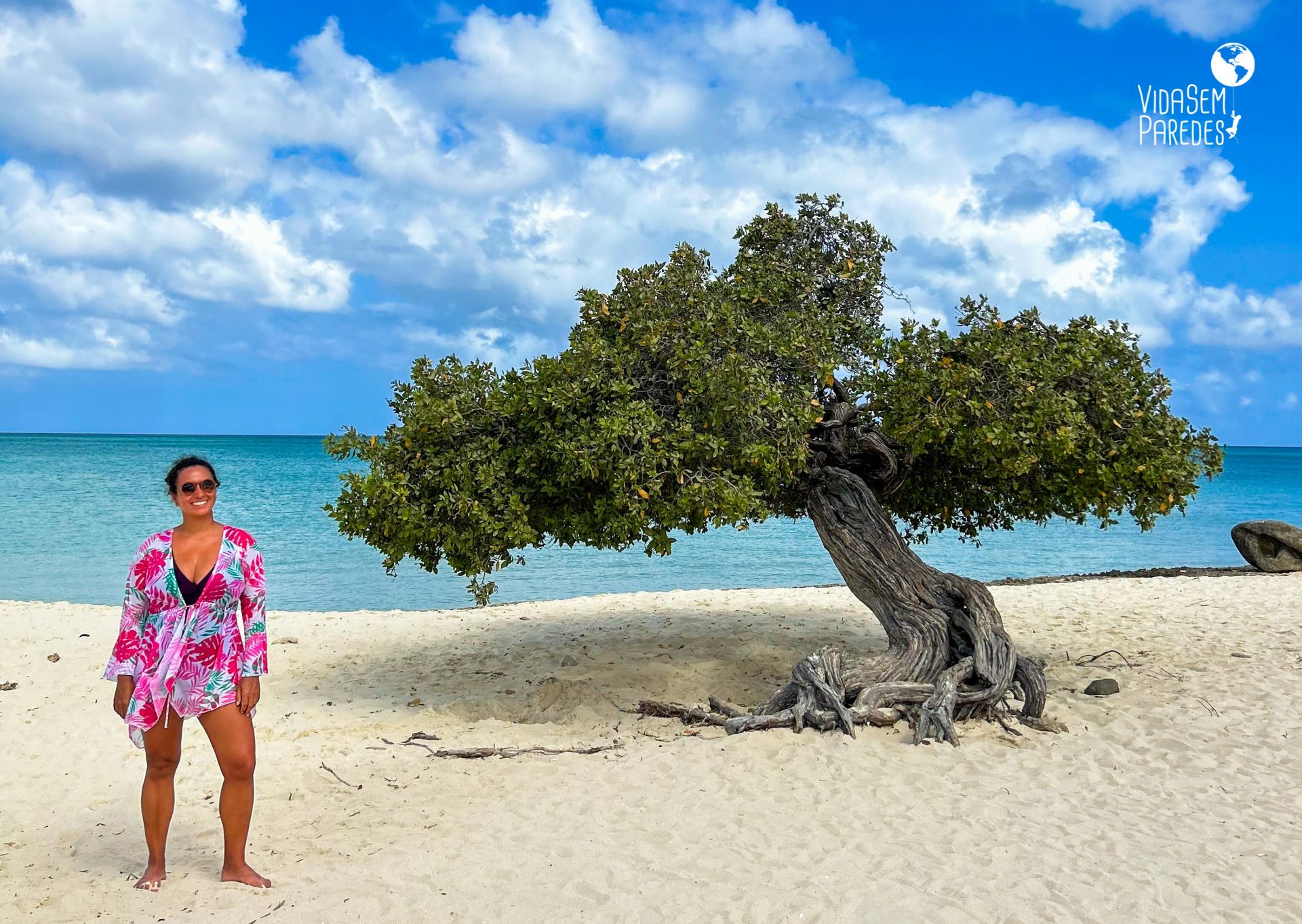 Aruba, Caribe: as praias imperdíveis [+dicas]